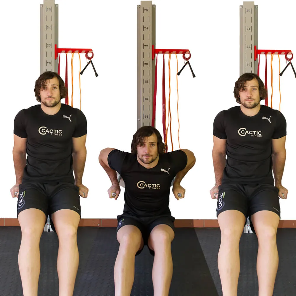 Dip Stand, Leg Raise, Tricep Combination - Hand Stand, Pull Ups