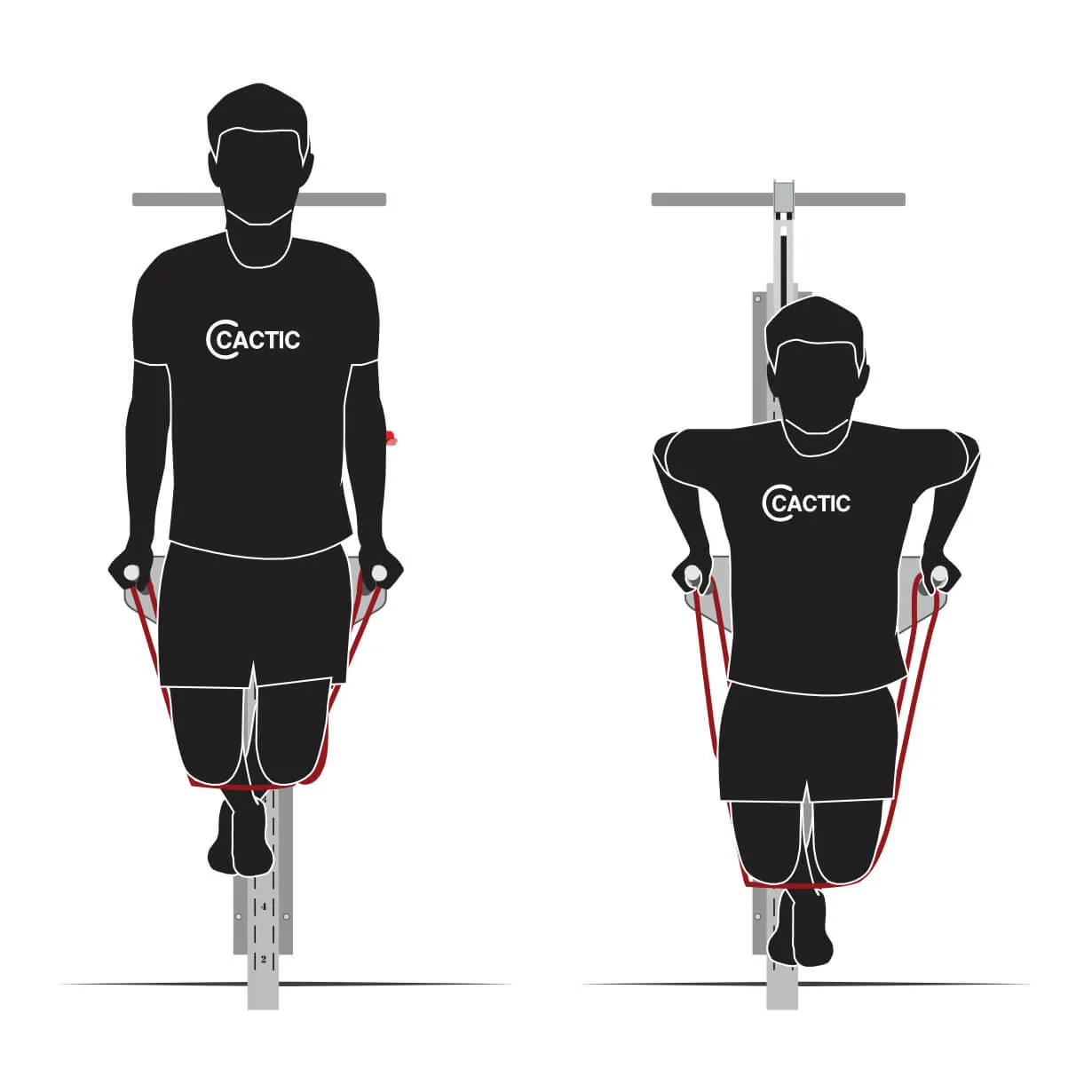 Ultimate Home Gym - Unlimited body weight & rubber loop exercises